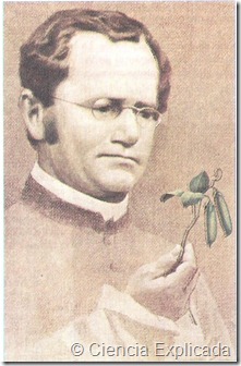 Gregor Mendel Biografía - Ciencia Explicada